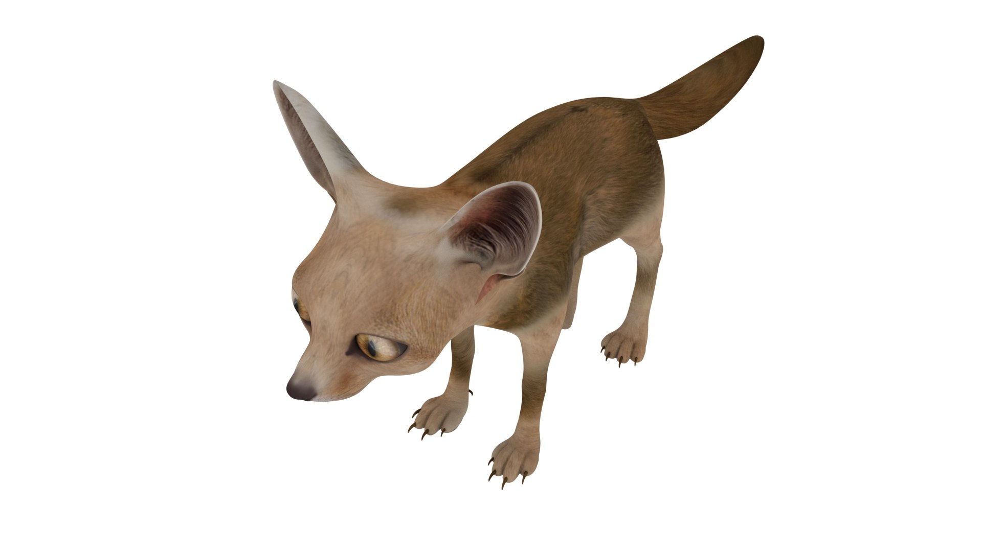 3D fennec fox - TurboSquid 1749191