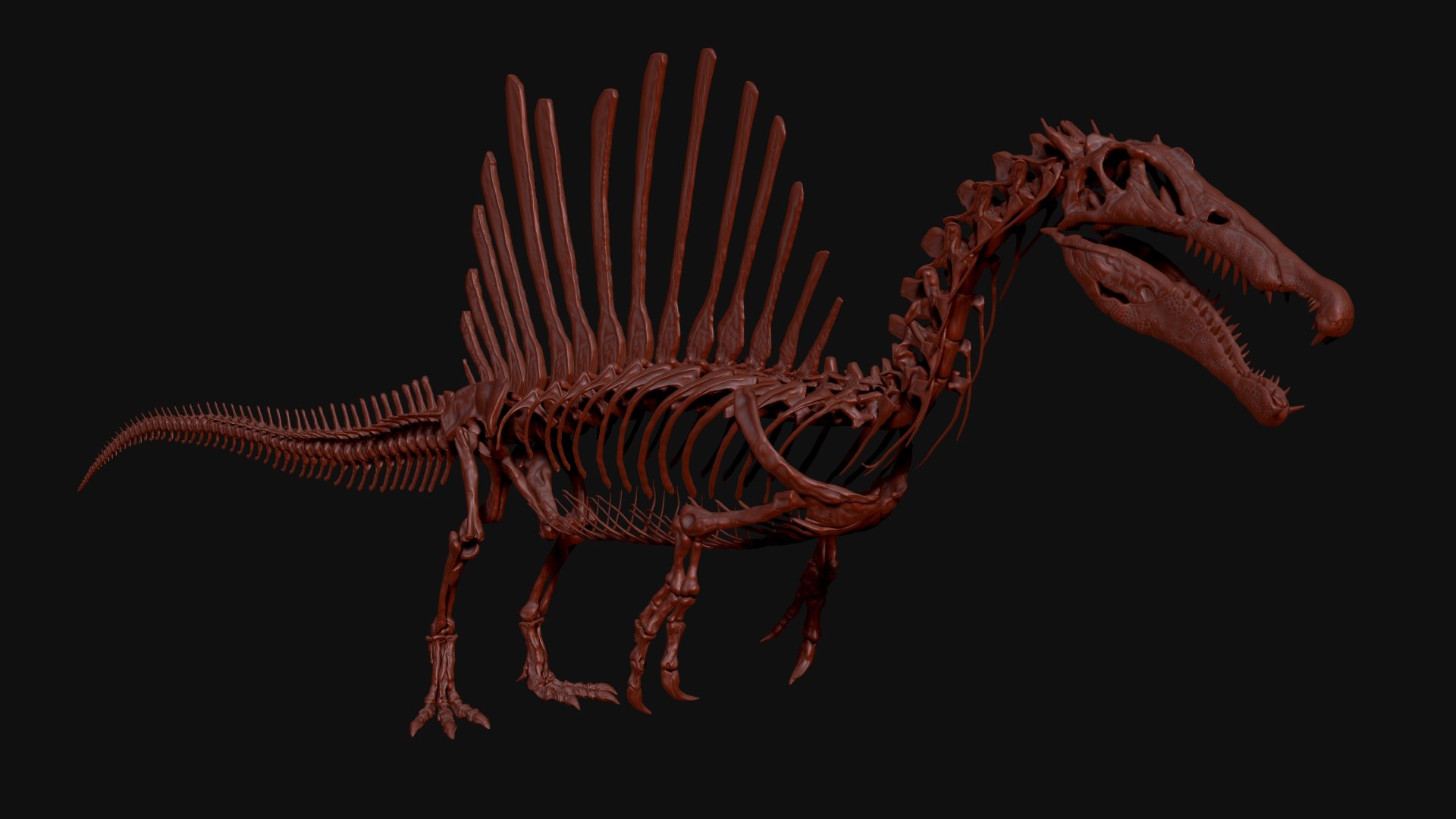 3D Spinosaurus Full Skeleton Sculpt Model Model - TurboSquid 1714710