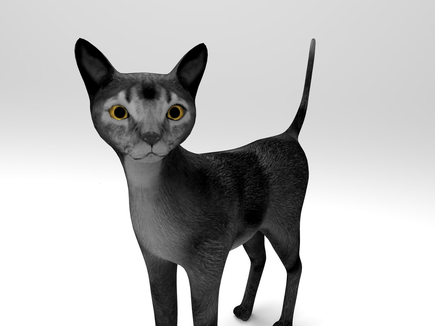 Cat Rigged 3d Model