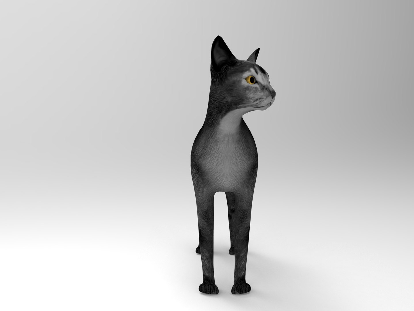 Cat Rigged 3d Model