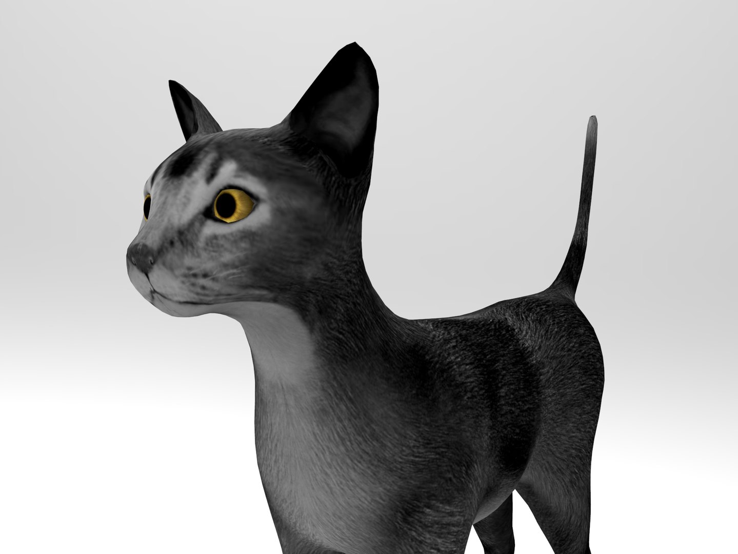 Cat Rigged 3d Model