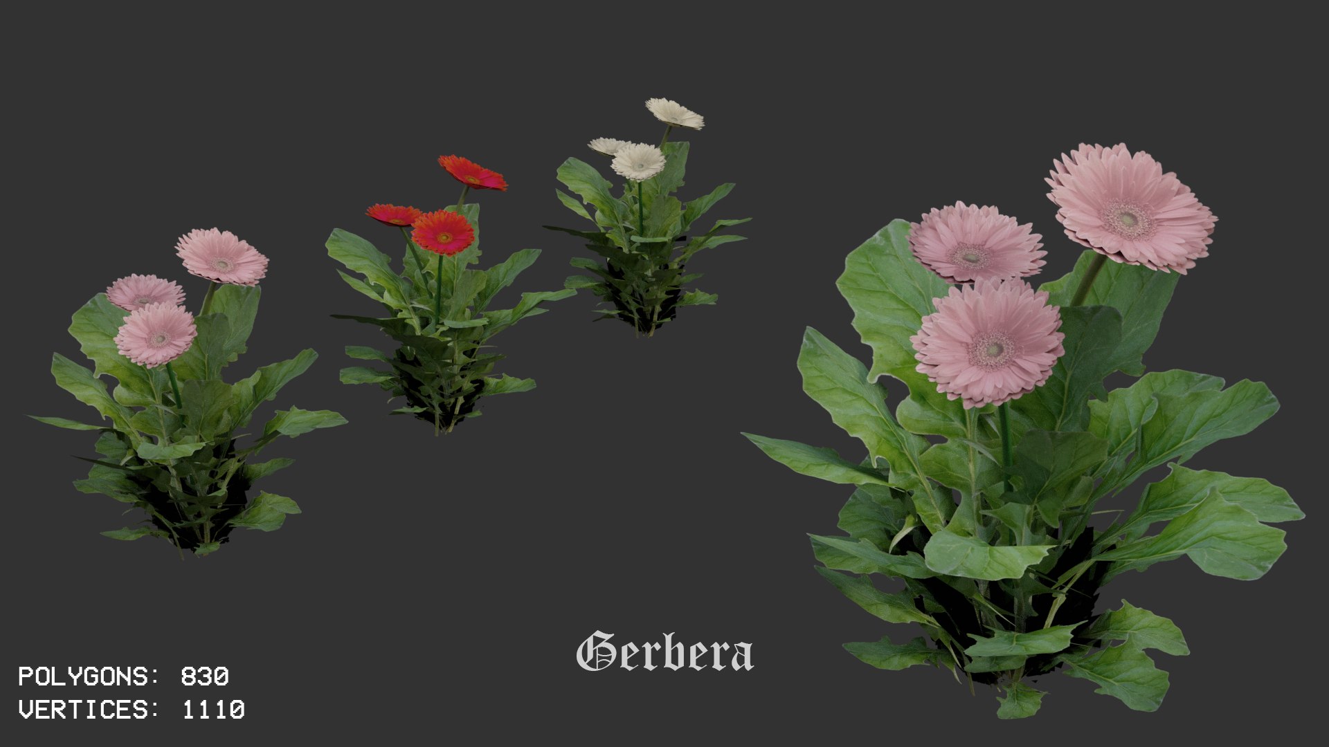 Flowers Pack Plants Sunflower Model - TurboSquid 1487562