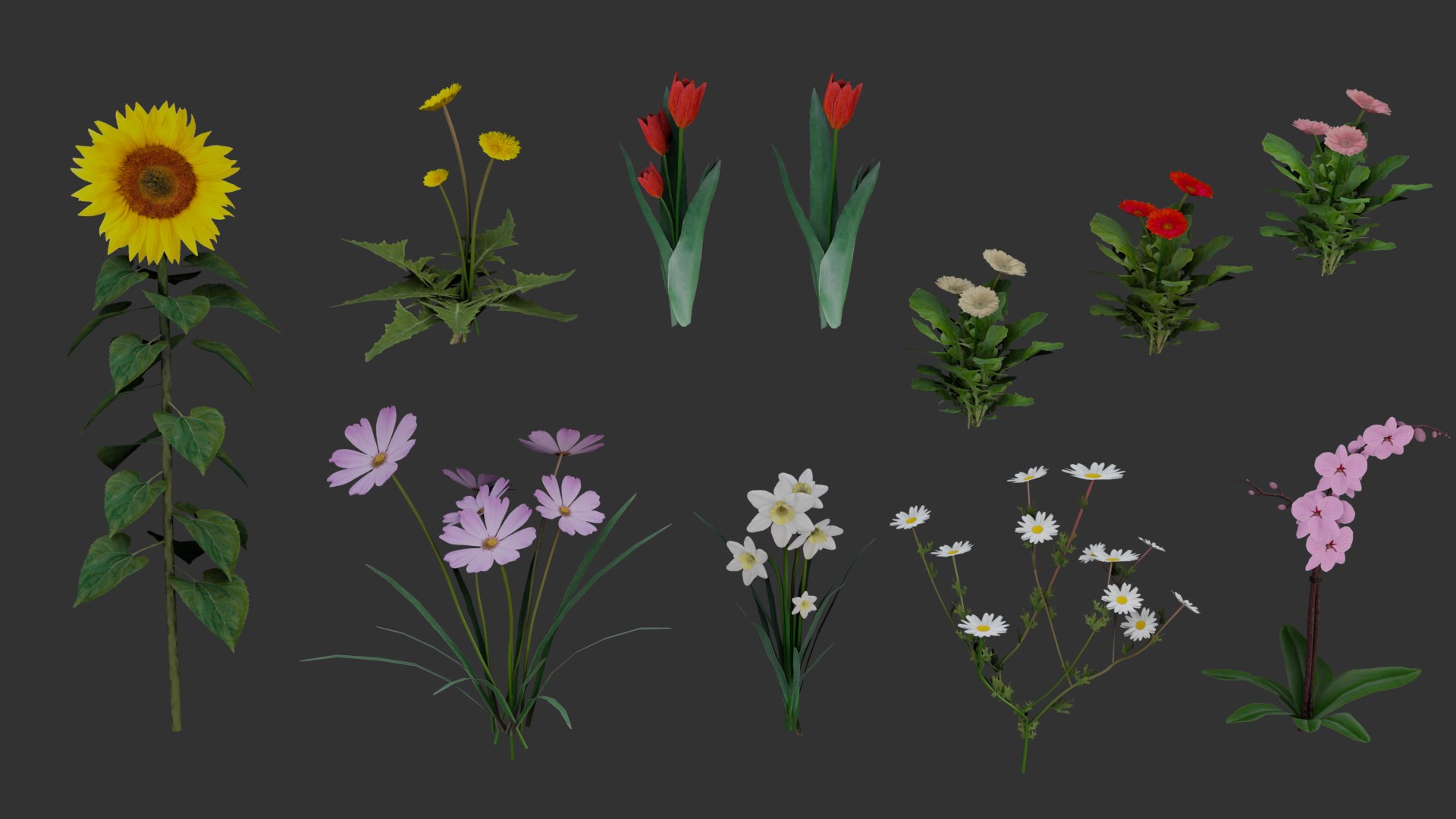 Flowers Pack Plants Sunflower Model - TurboSquid 1487562