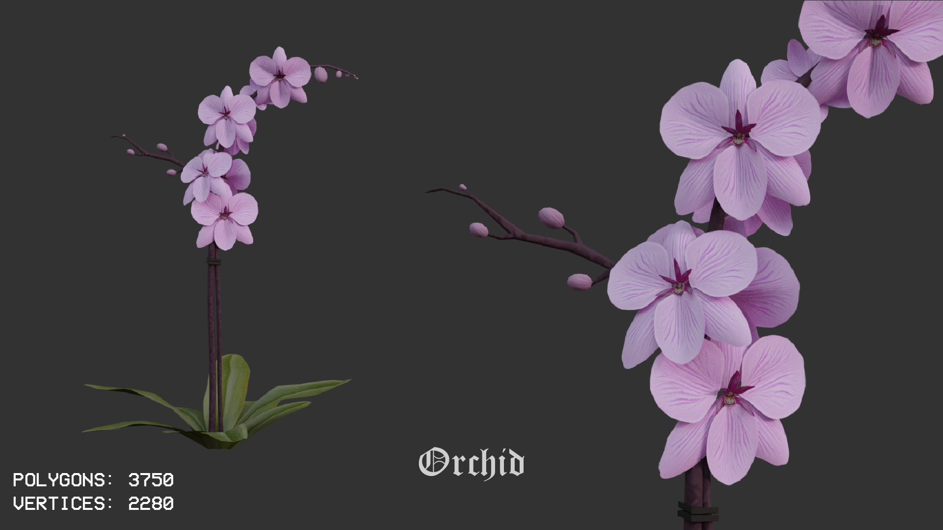 Flowers Pack Plants Sunflower Model - TurboSquid 1487562