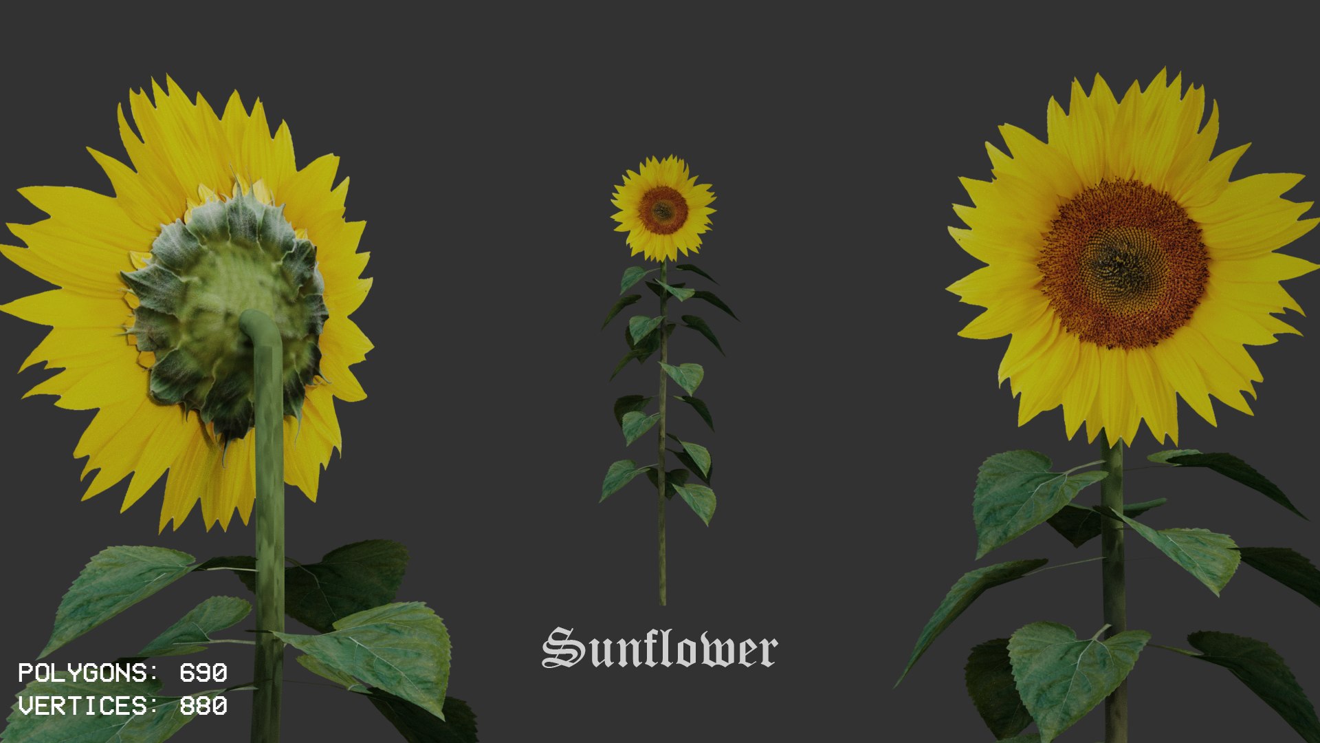 Flowers Pack Plants Sunflower Model - TurboSquid 1487562
