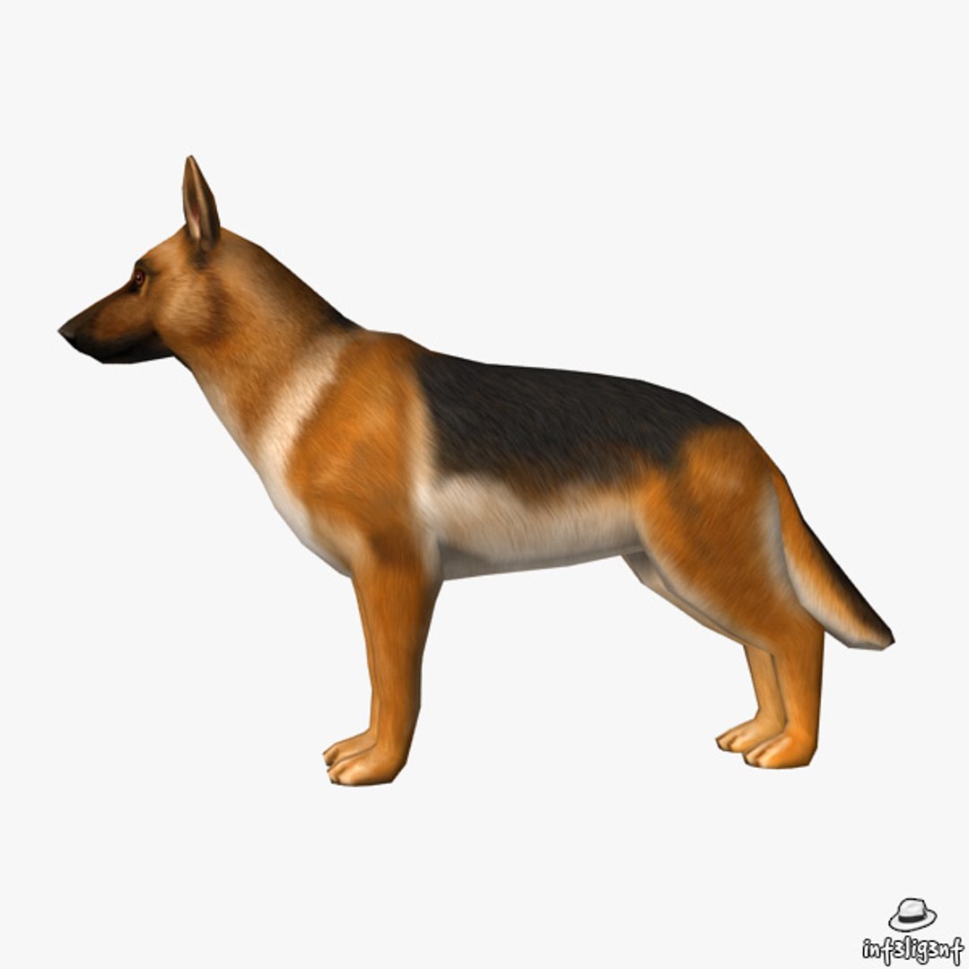 3d Model Of German Shepherd