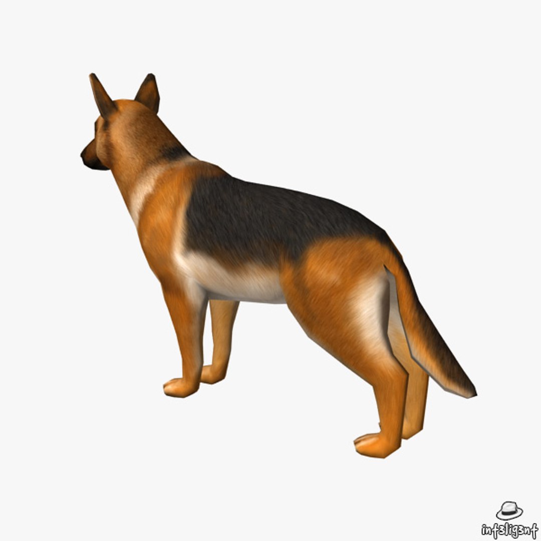 3d Model Of German Shepherd