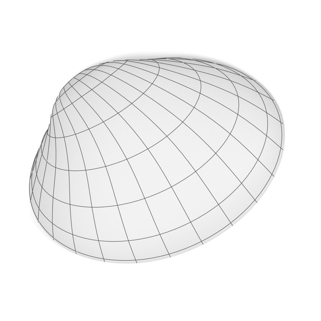 seashells shell 3d model
