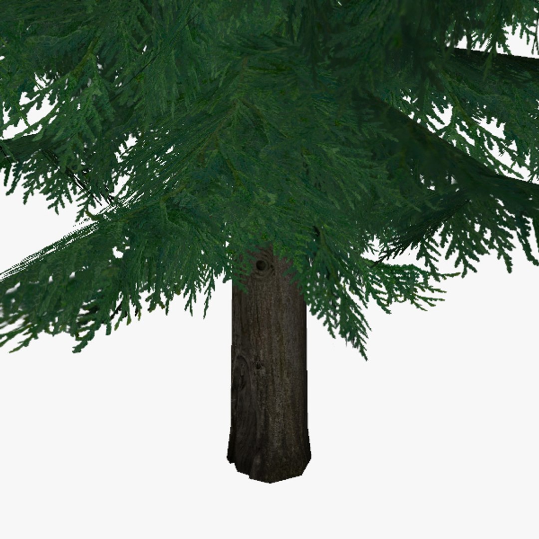 pine tree01 max