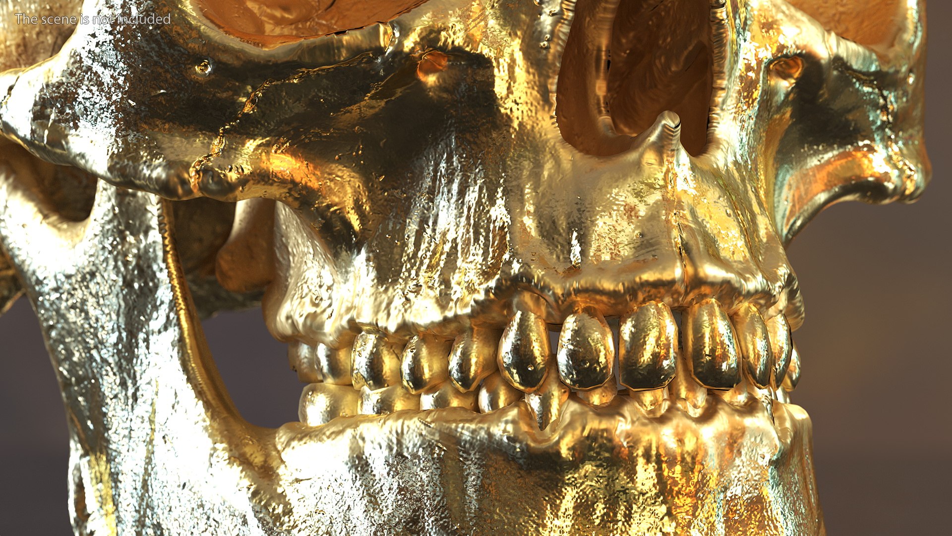 Female Human Skull Gold Metal 3D Model - TurboSquid 1902387
