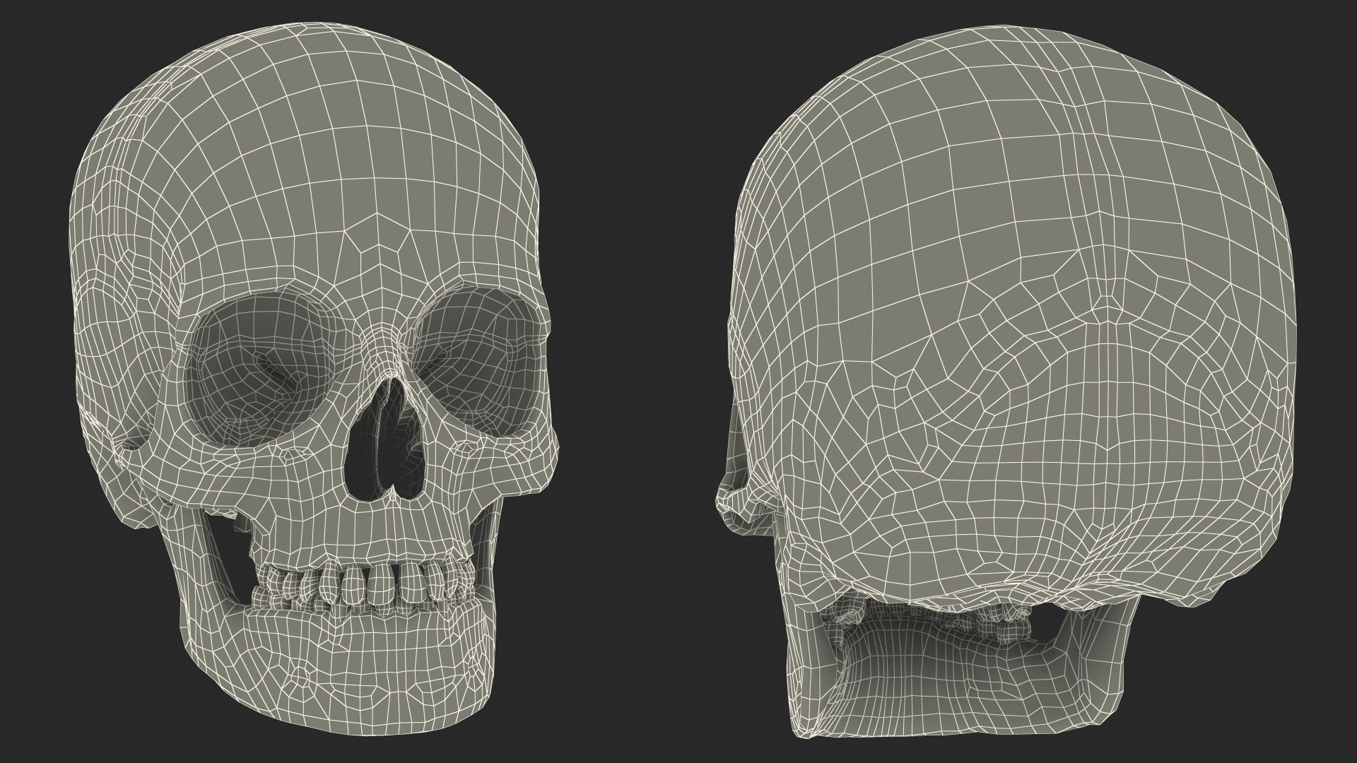 Female Human Skull Gold Metal 3D model - TurboSquid 1902387