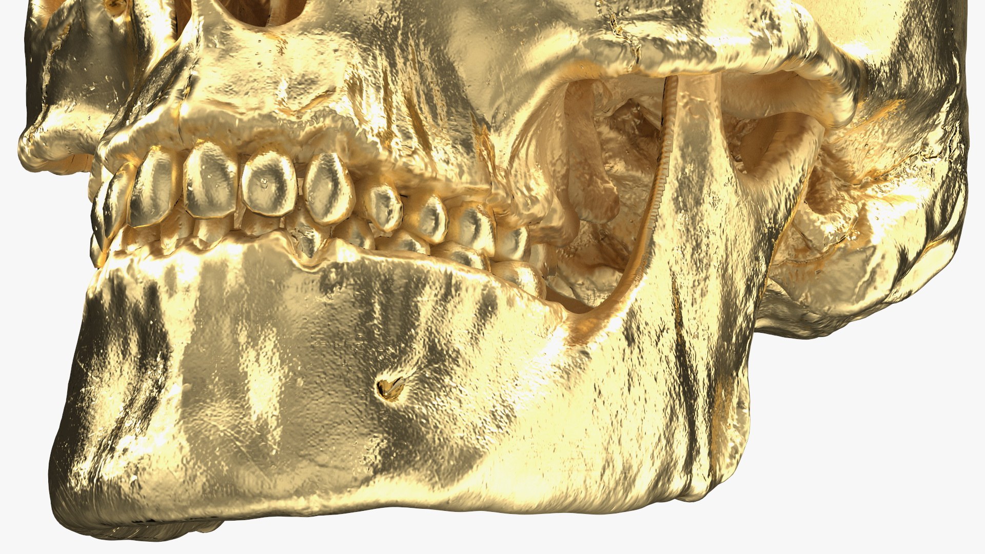 Female Human Skull Gold Metal 3D model - TurboSquid 1902387