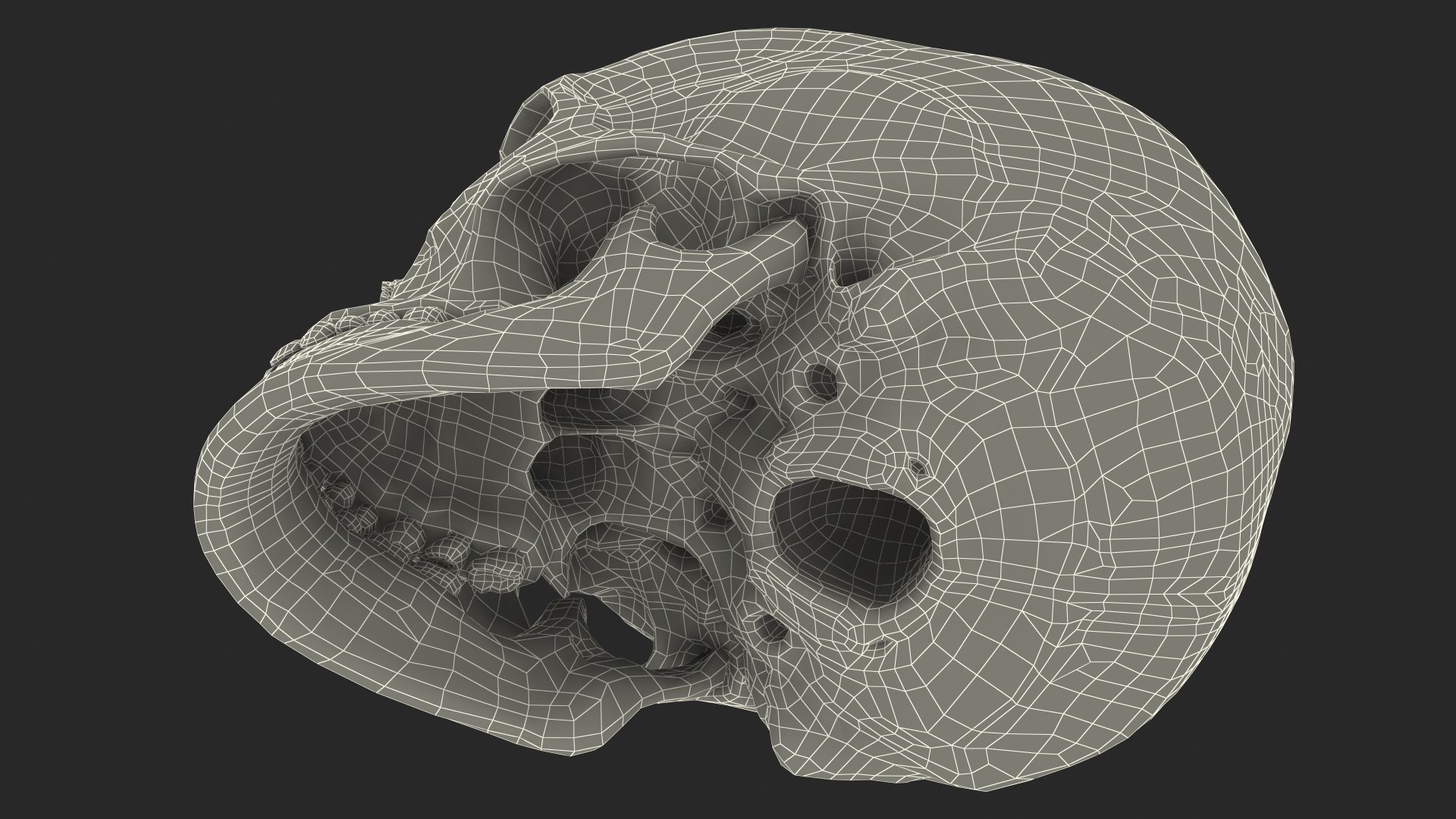 Female Human Skull Gold Metal 3D model - TurboSquid 1902387