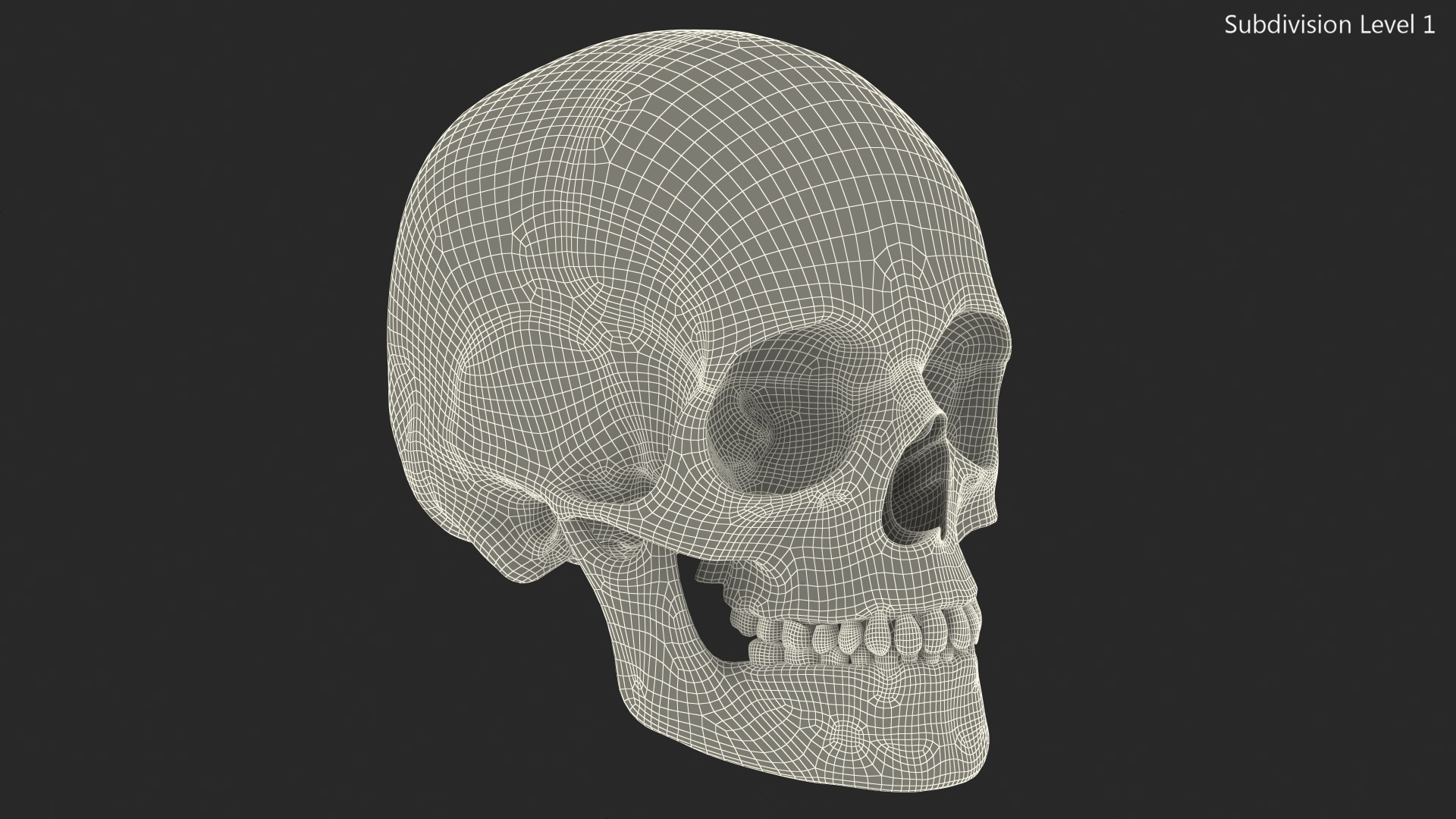 Female Human Skull Gold Metal 3D model - TurboSquid 1902387