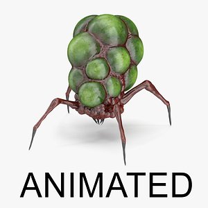 Animated, Rigged, And Low Poly Spider Monster 3D Models For Download ...
