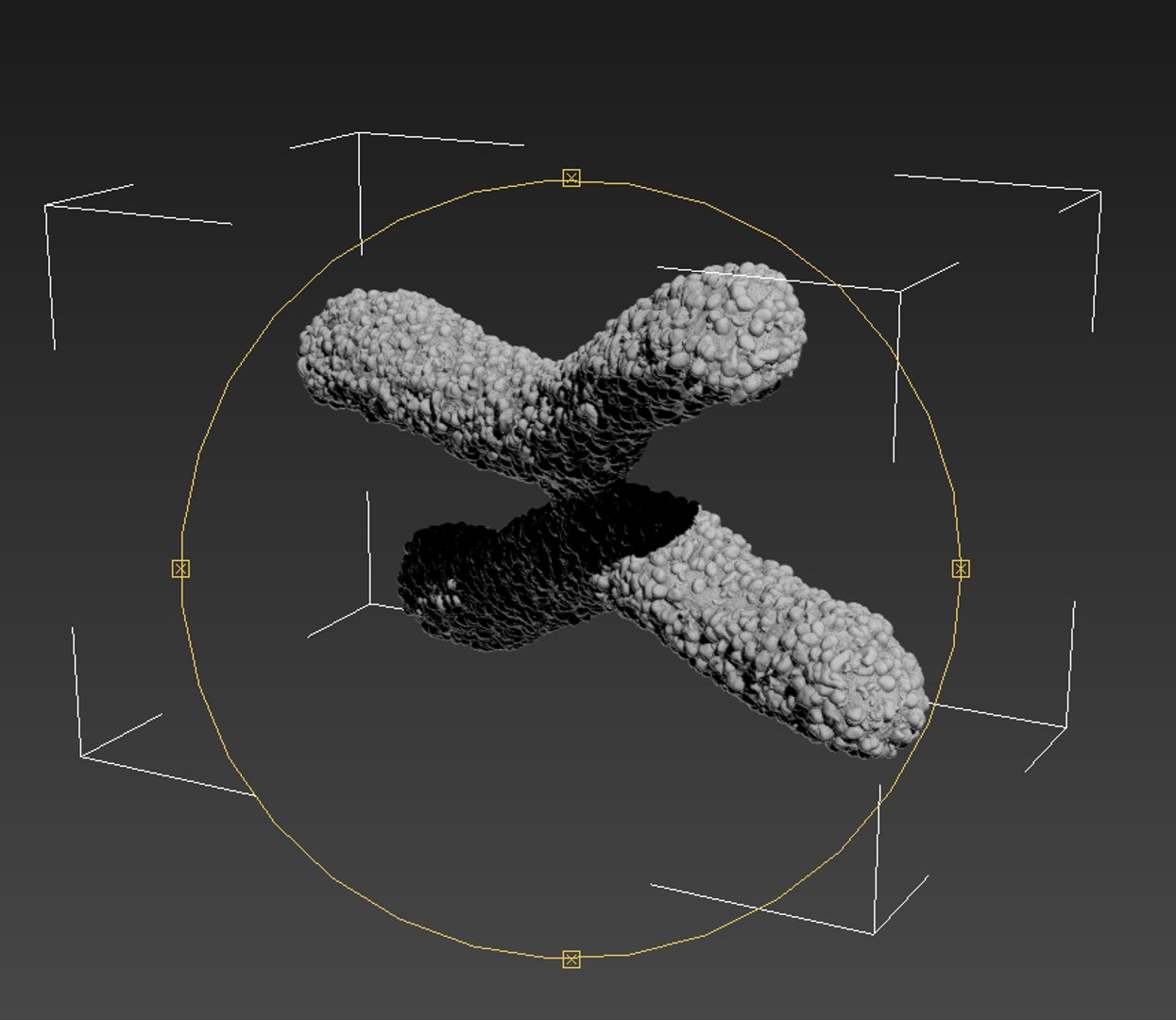 Chromosome X Y 3d 3ds