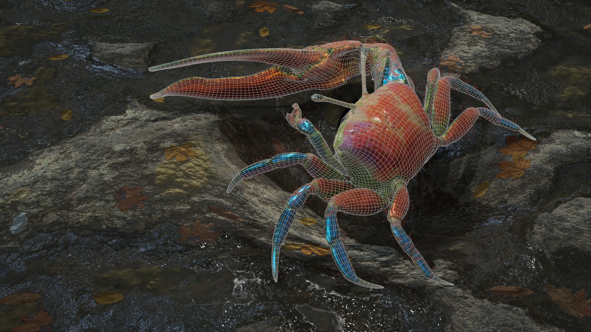 Fiddler Crab 3D Model - TurboSquid 1584696