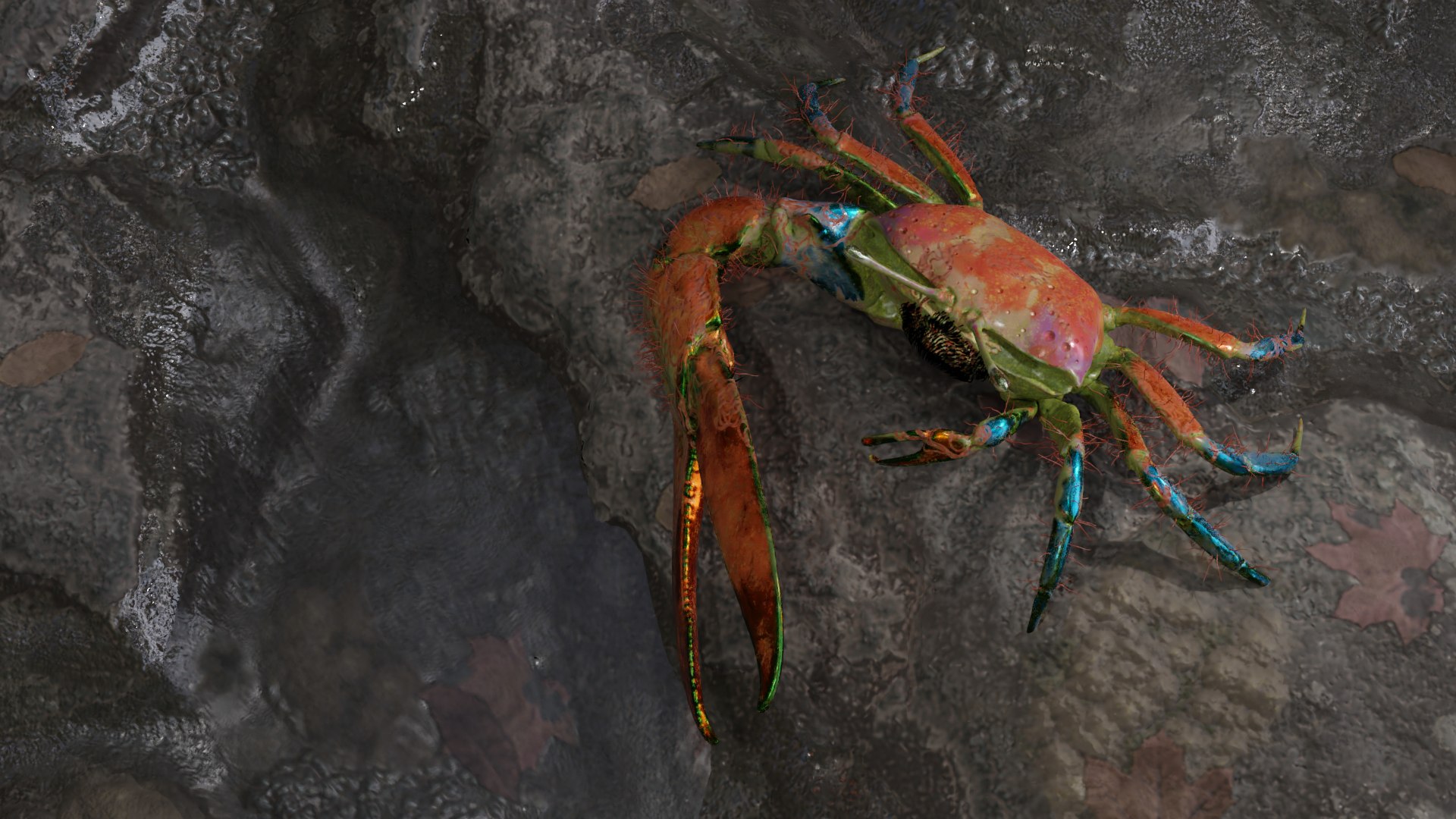 Fiddler Crab 3D Model - TurboSquid 1584696