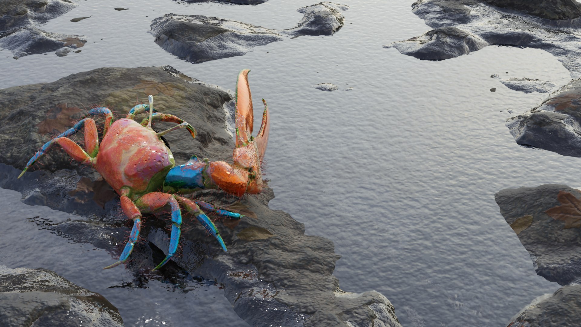 Fiddler Crab 3D Model - TurboSquid 1584696
