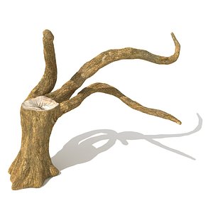 Fantasy Tree 3D Models for Download | TurboSquid