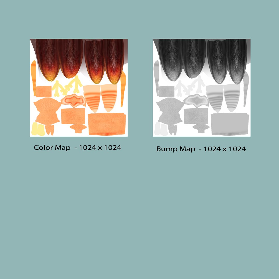 Cockroach Haemocoel Obj