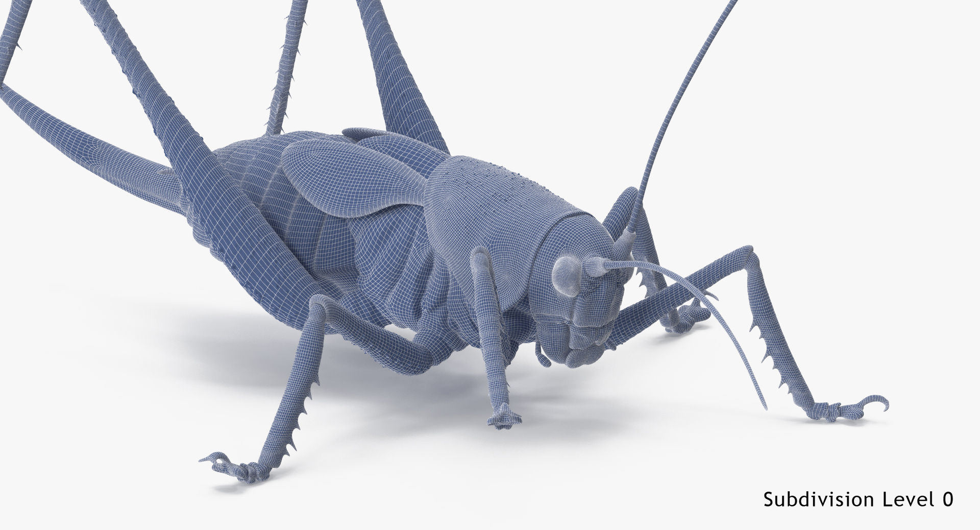 3d standing grasshopper model