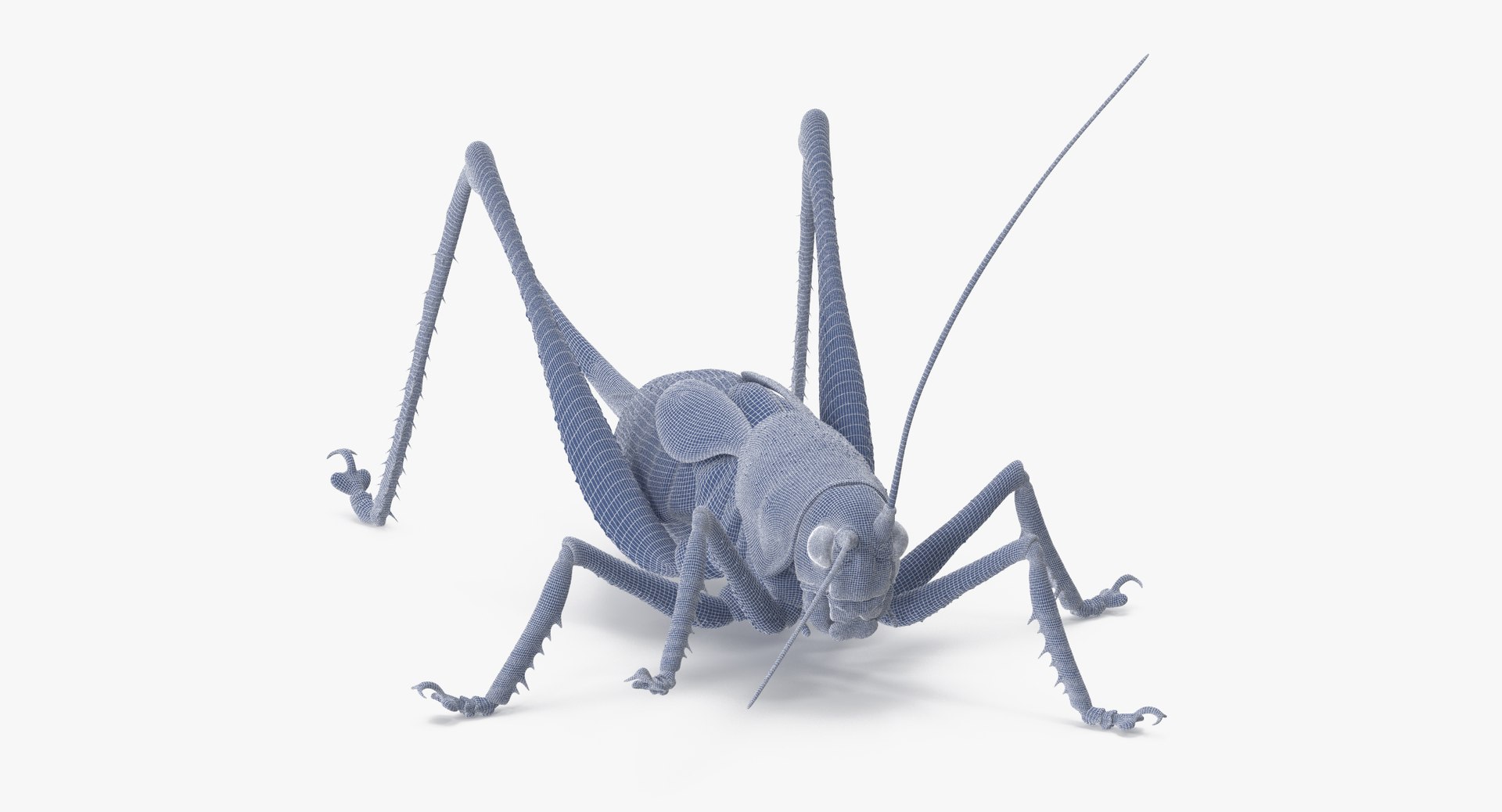 3d standing grasshopper model