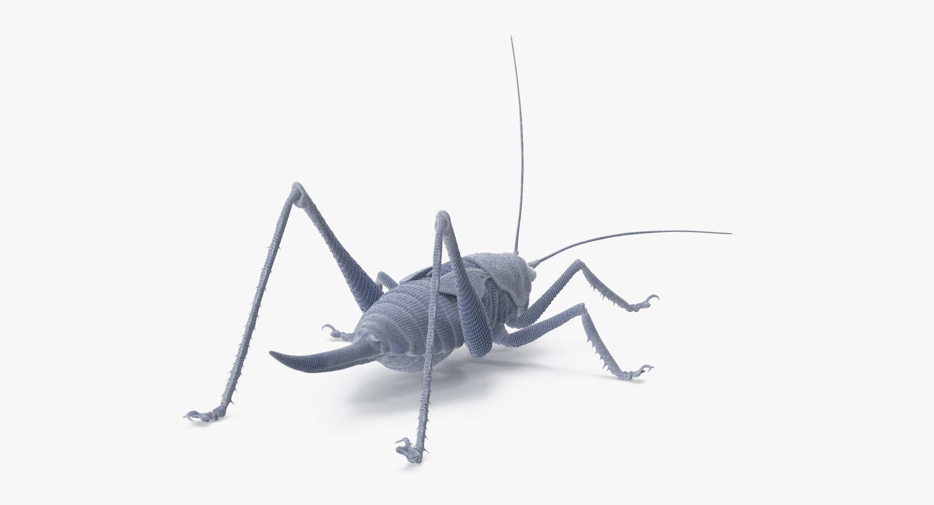 3d standing grasshopper model