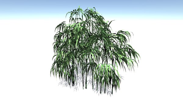 bamboo tree 3d model