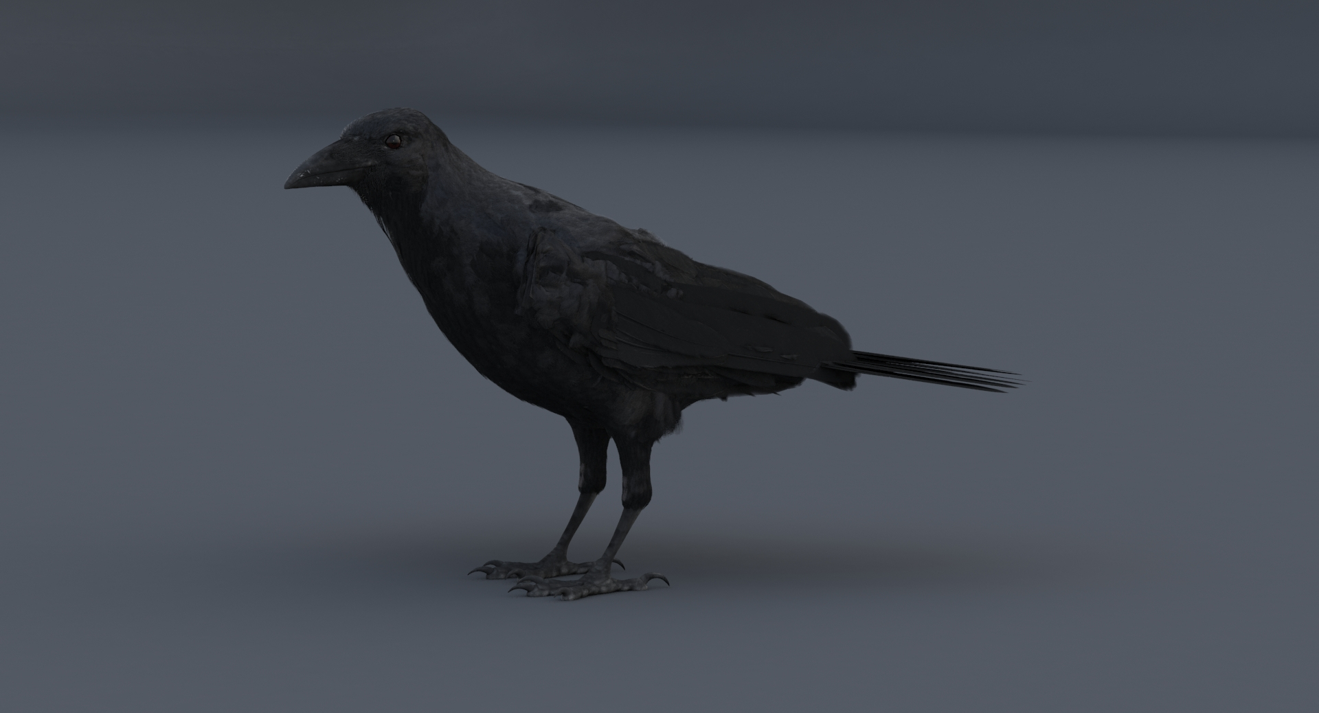 3D crow rigged model - TurboSquid 1244530