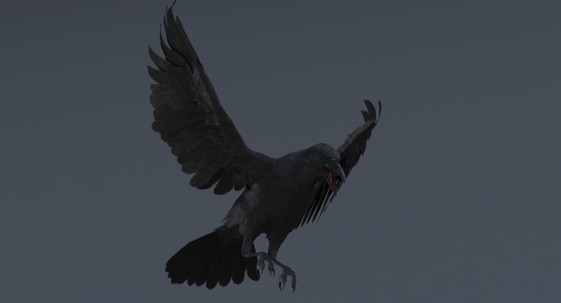 3D crow rigged model - TurboSquid 1244530