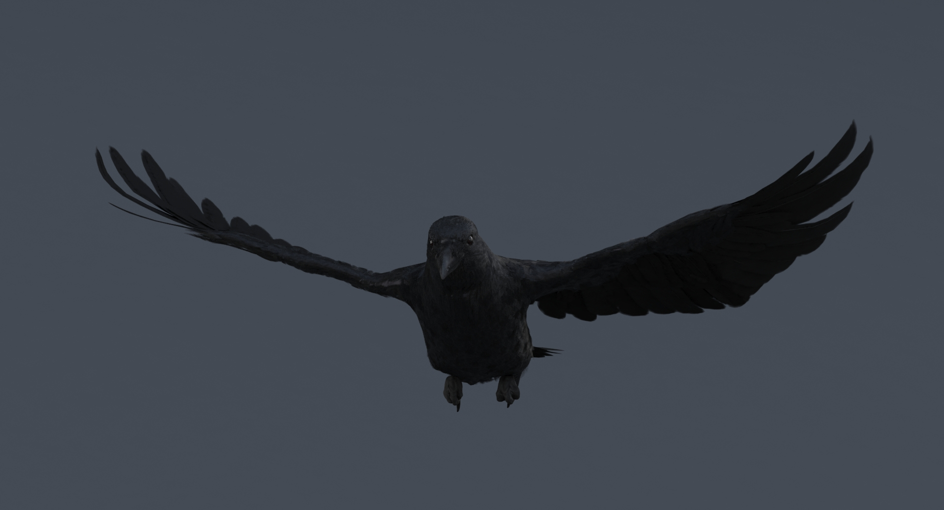3D crow rigged model - TurboSquid 1244530