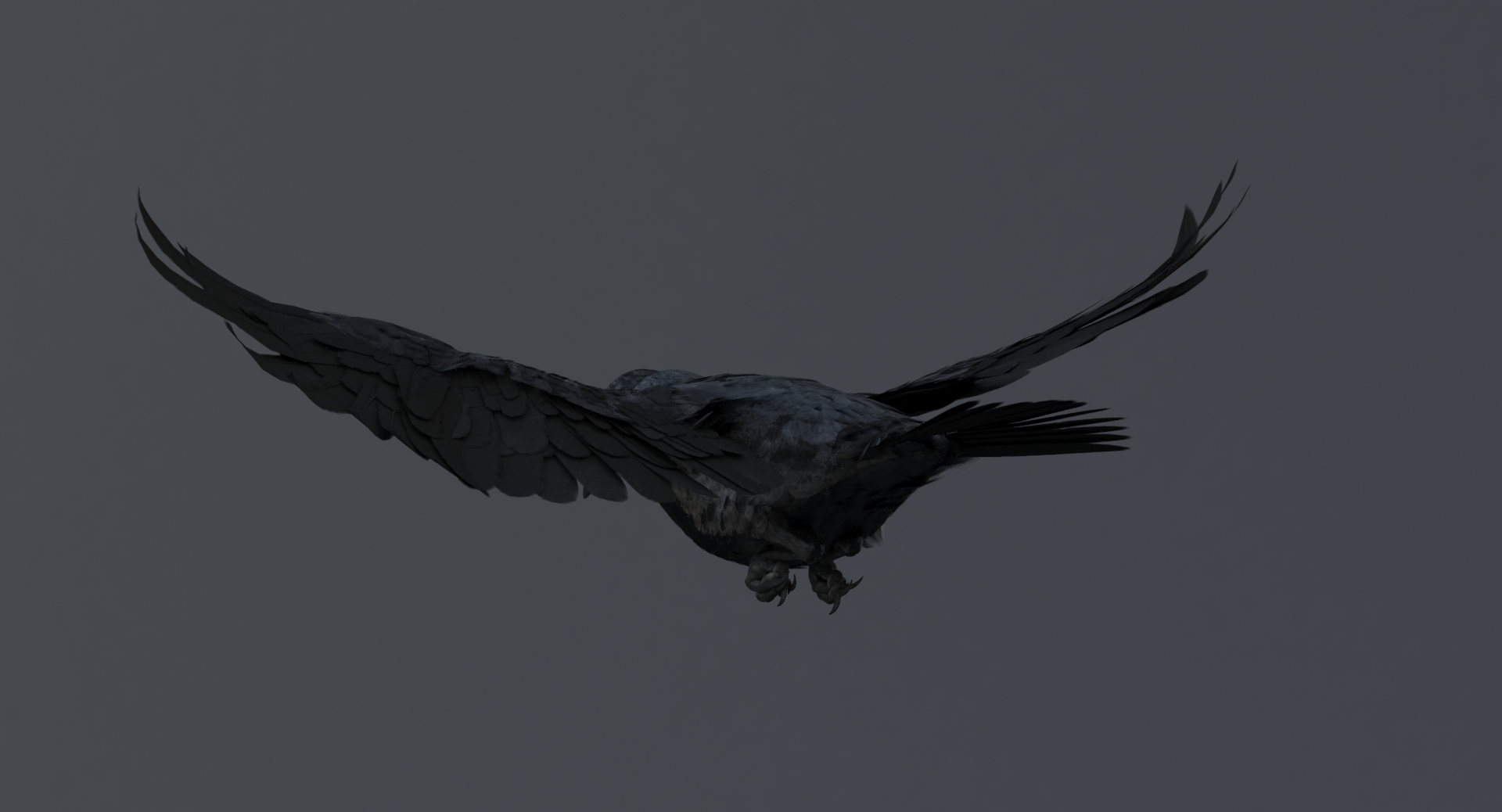 3D crow rigged model - TurboSquid 1244530