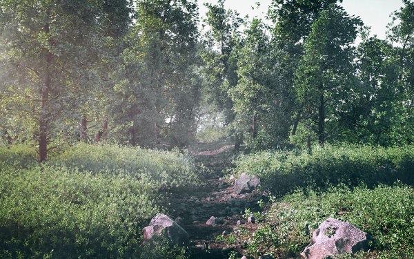 Forest scene 3D model - TurboSquid 1482891