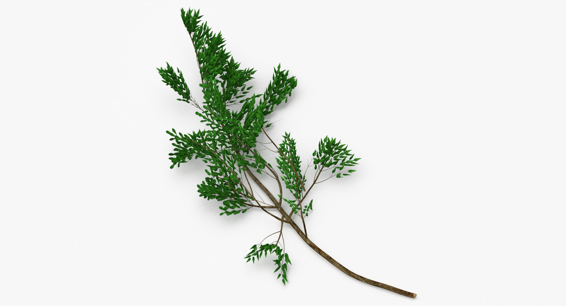 Branch 01 model - TurboSquid 2027251