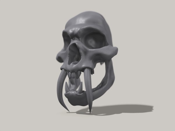 Free 3D Skull Models | TurboSquid