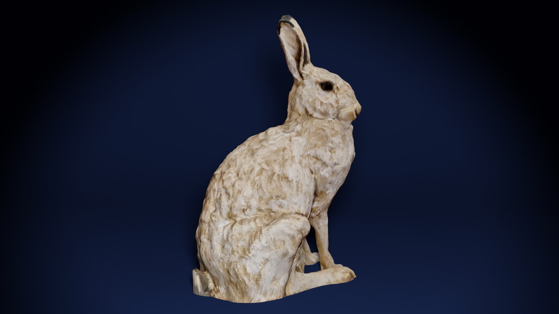 3D Realistic Hare Figure - TurboSquid 1995126