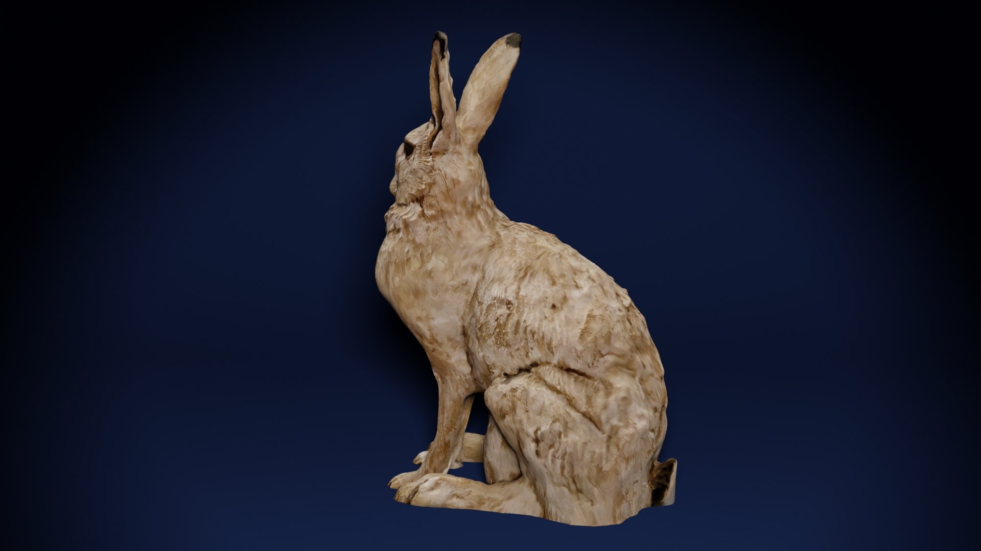 3D Realistic Hare Figure - TurboSquid 1995126
