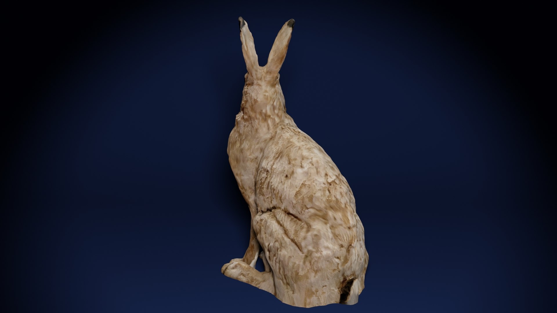 3D Realistic Hare Figure - TurboSquid 1995126
