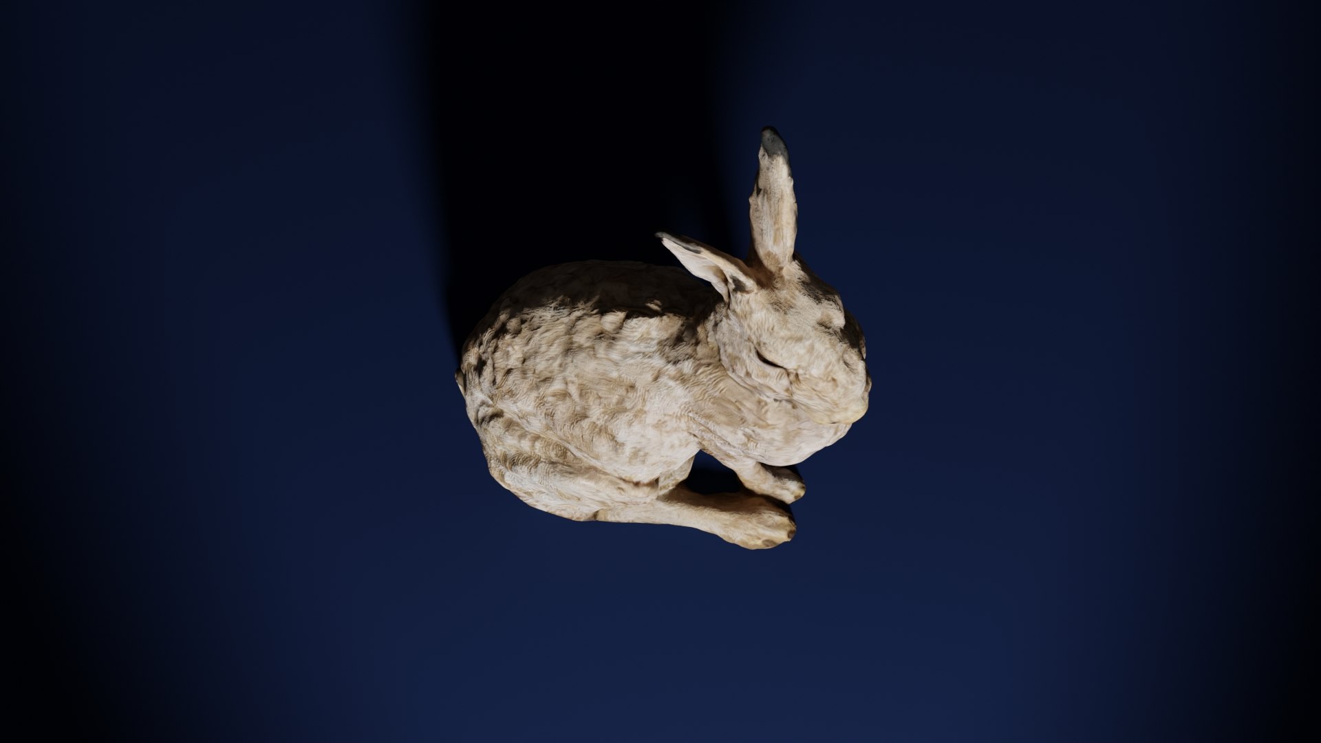 3D Realistic Hare Figure - TurboSquid 1995126