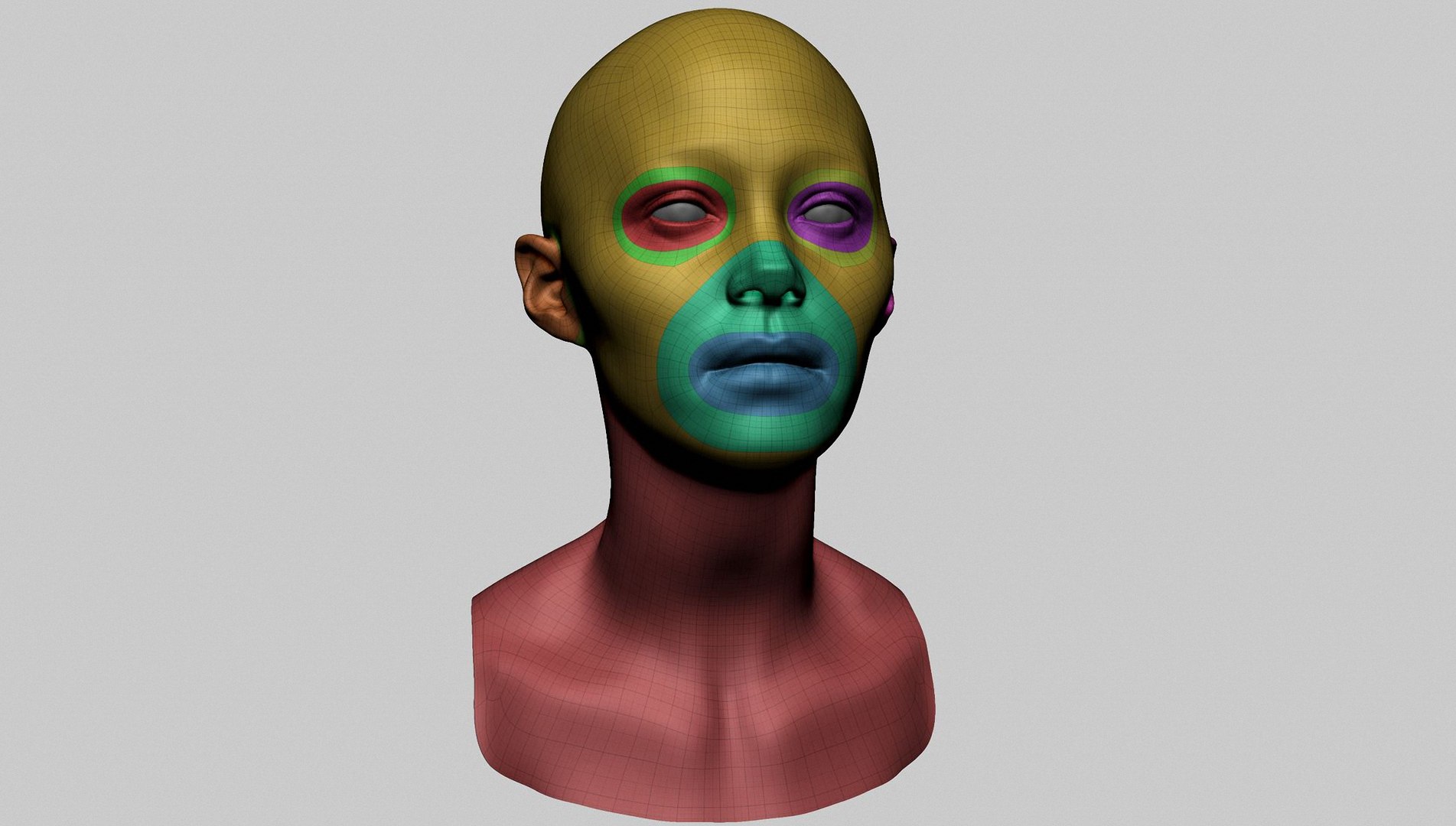 Female Head Basemesh C 3D Model - TurboSquid 2004936