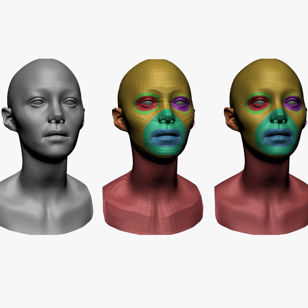 Female Head Basemesh C 3D model - TurboSquid 2004936