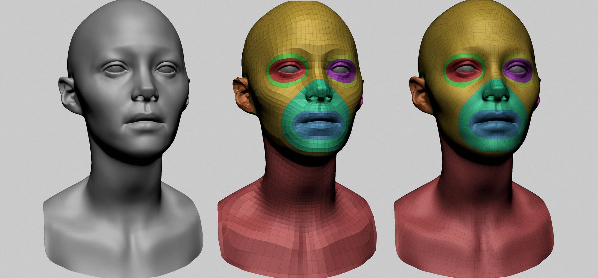 Female Head Basemesh C 3D Model - TurboSquid 2004936