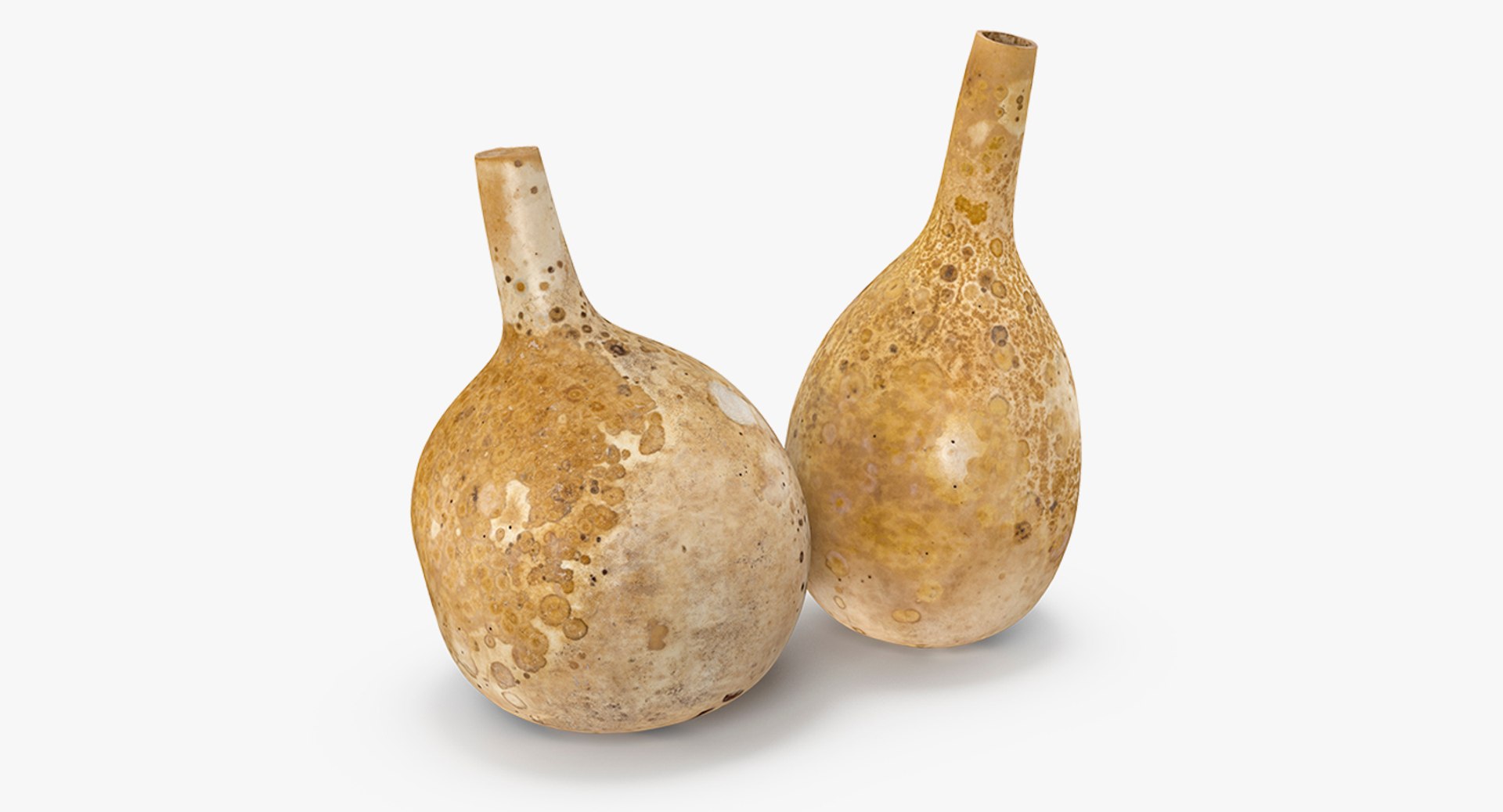 Gourd Containers Set 3D Model | 1145916 | TurboSquid