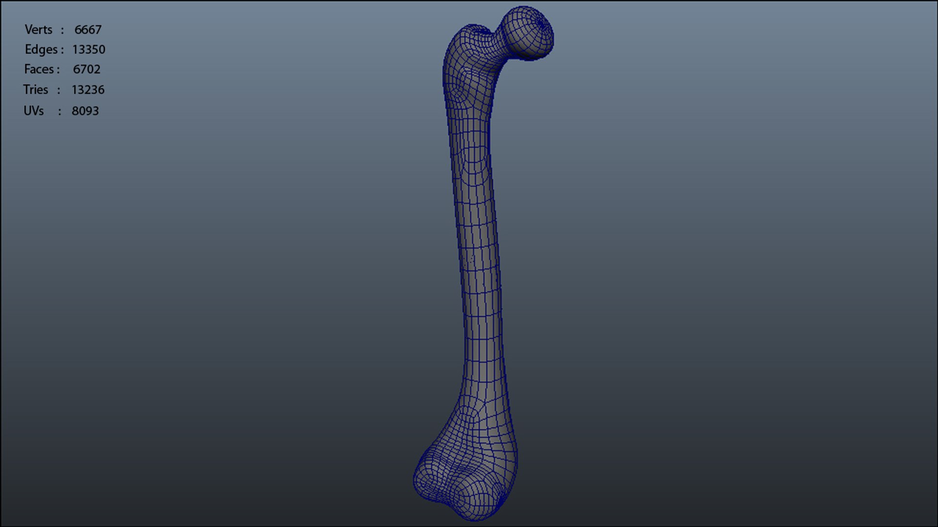 3d Bone
