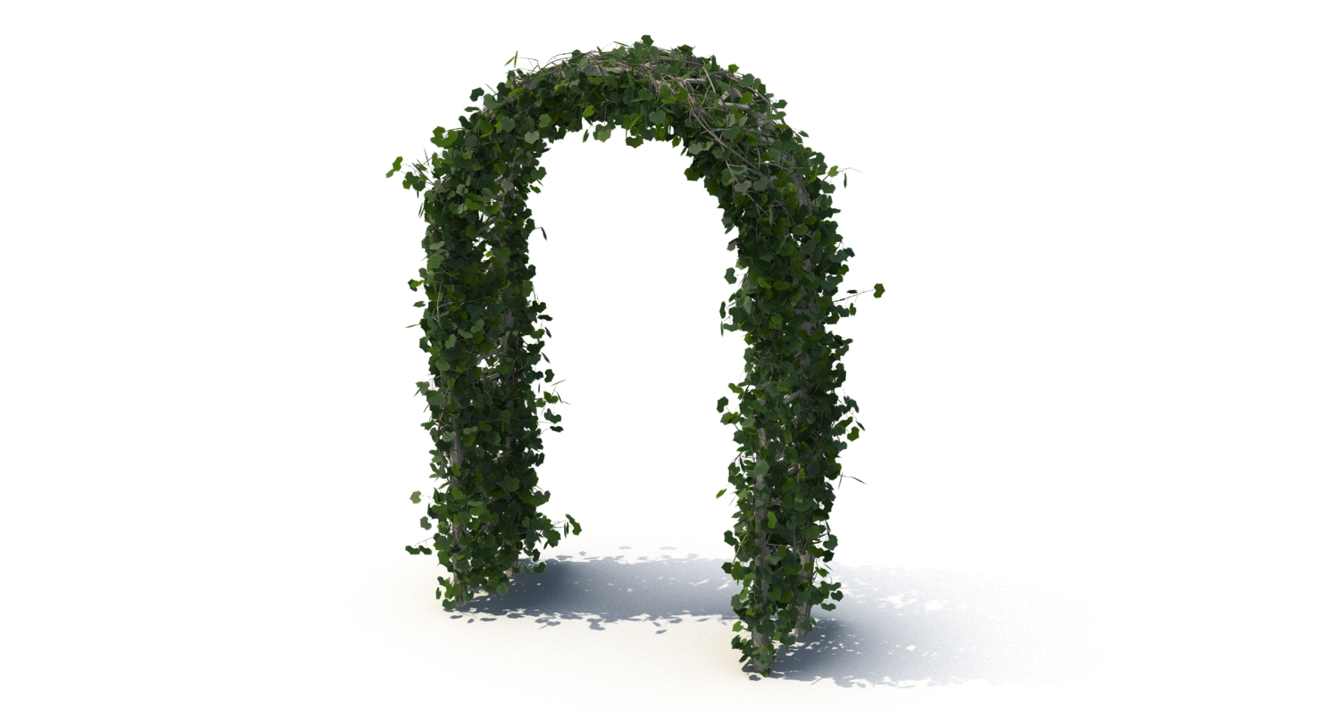 Leafs Arc 3D Model - TurboSquid 1161688