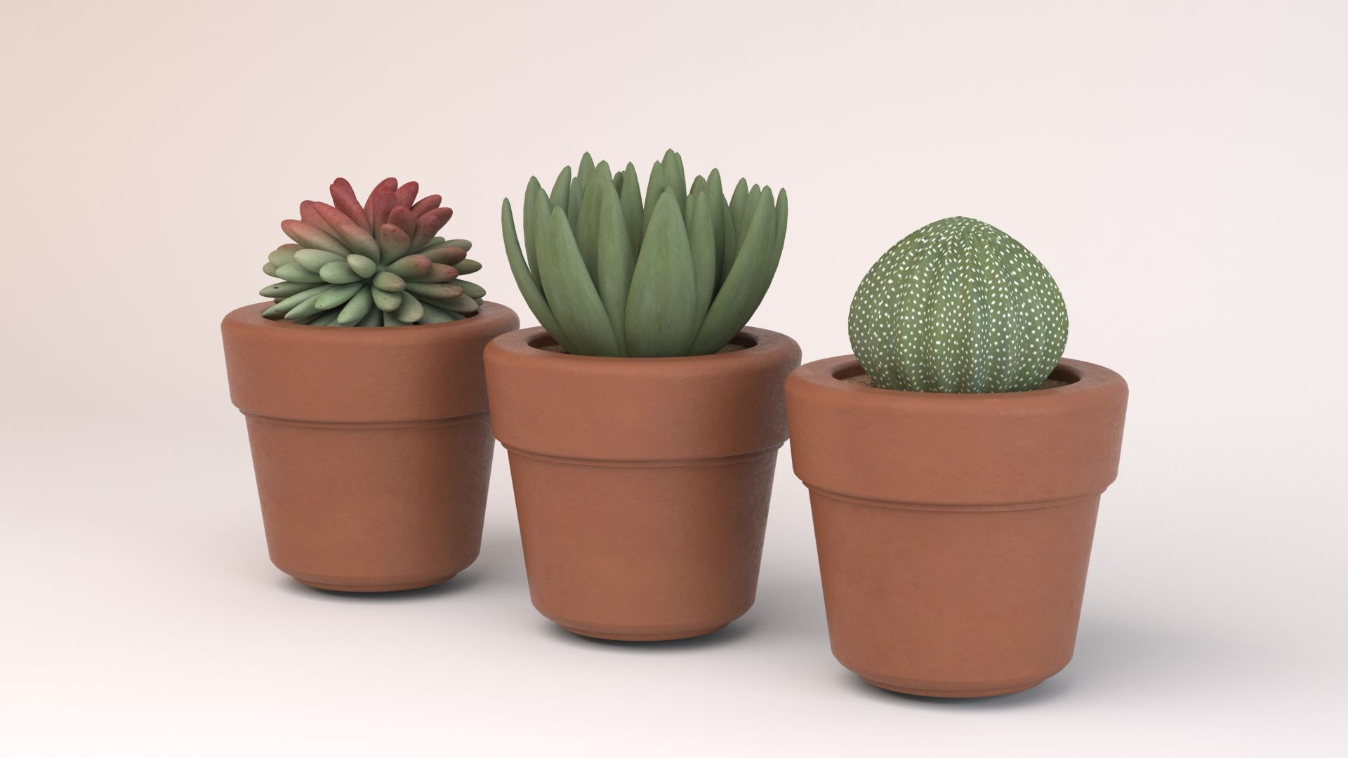 Plant Pot 3d Model