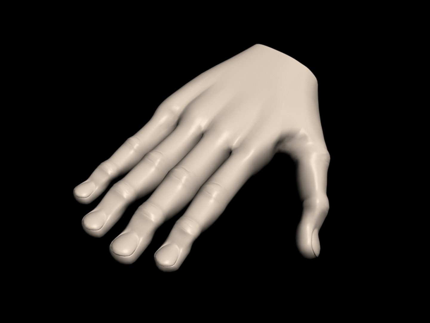 human hand 3d model