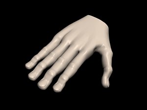 Hand 3D Models for Download | TurboSquid