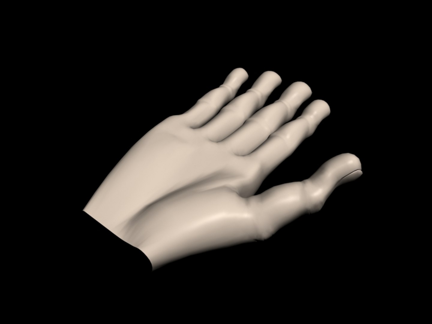 human hand 3d model